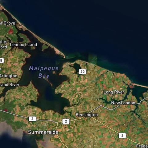 Fishing in Malpeque, Prince Edward Island → Explore Fishing Spots & Catches