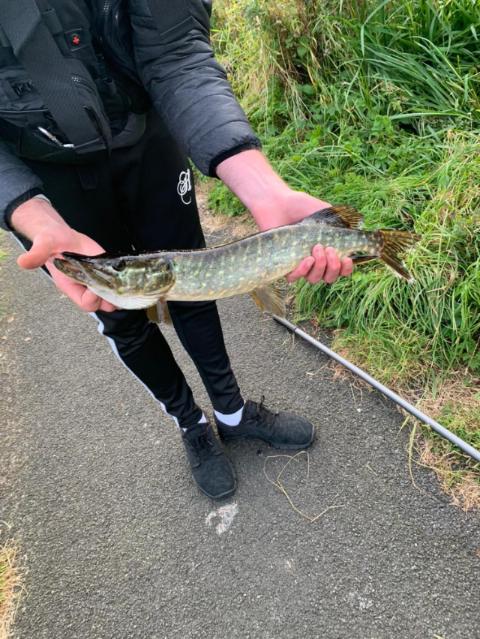 Fishing at Union Canal → Explore Fishing Spots & Catches