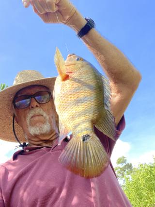 Catch by Emile Evans