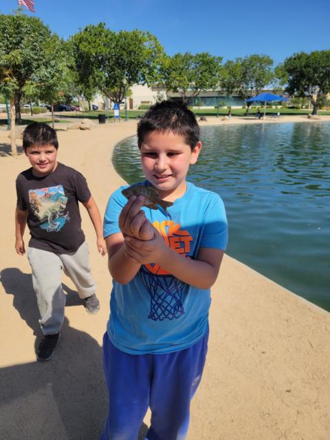 Fishing at Surprise Lake, Arizona → Explore Fishing Spots & Catches