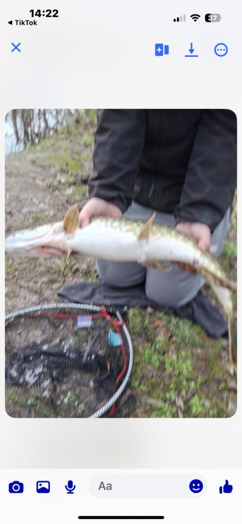 Fishing at Welbeck Spring Spill-Off Pond → Explore Fishing Spots & Catches