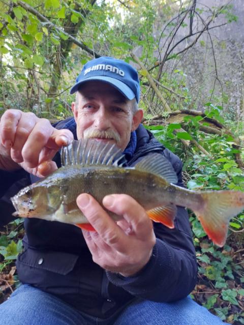 Fishing at Birmingham Canal → Explore Fishing Spots & Catches