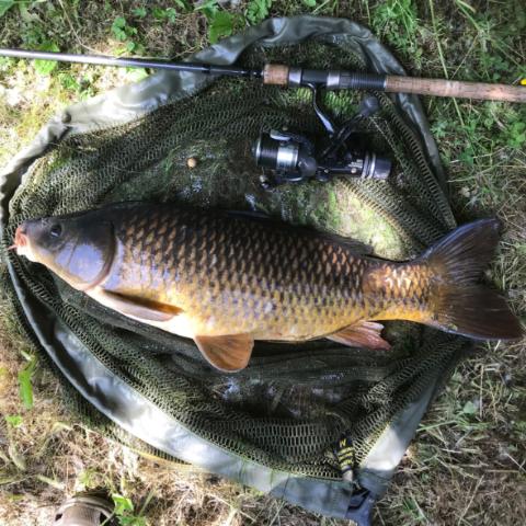 Always Fishing (@fishing_always)